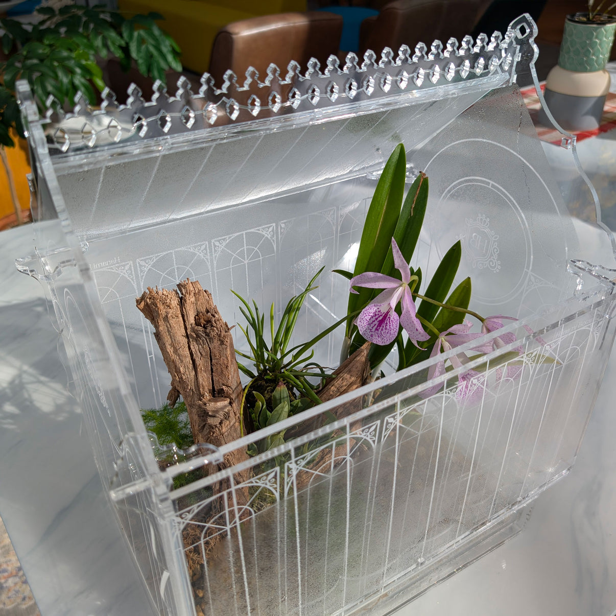 Victorian Plant Display Case – Indoor Greenhouse for Orchids & Tropical ...