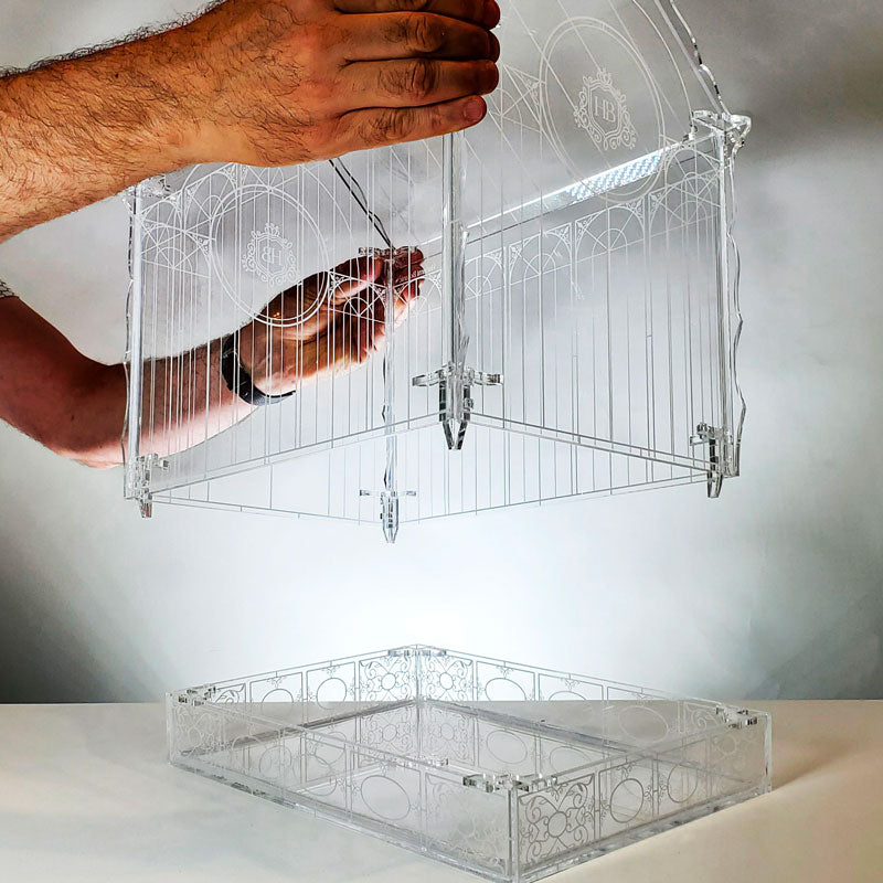 Victorian-style Terrarium/Wardian Case/Houseplant Display – Hanami Botanic